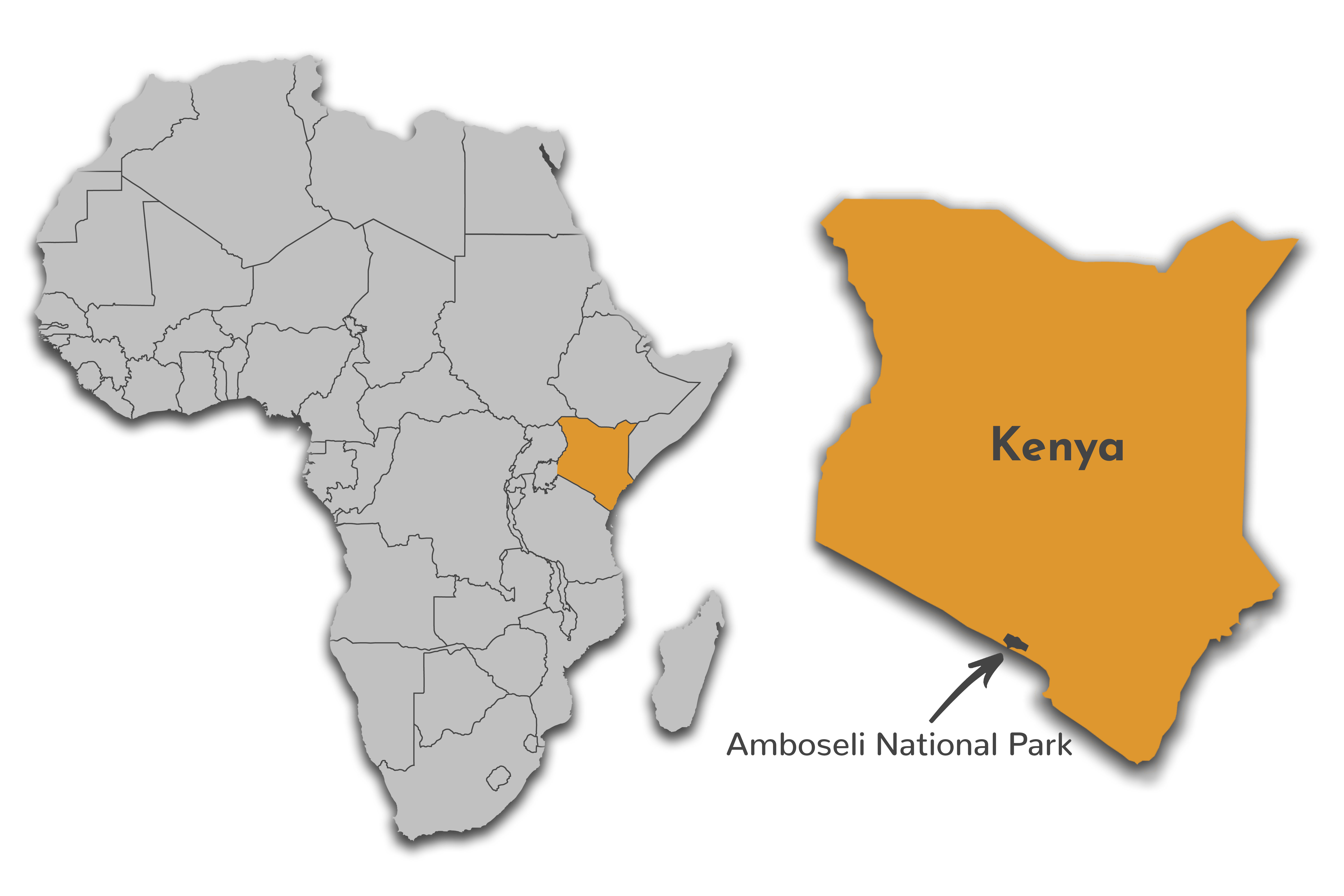 Amboseli National Park Kenya National Park Safariopedia Amboseli National Park Kenya National Park Safariopedia